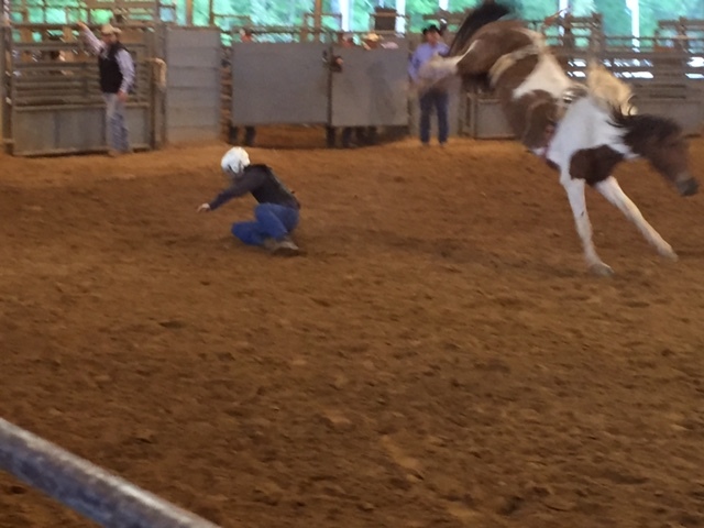 59th FFA Rodeo set for HHS | Hope High School