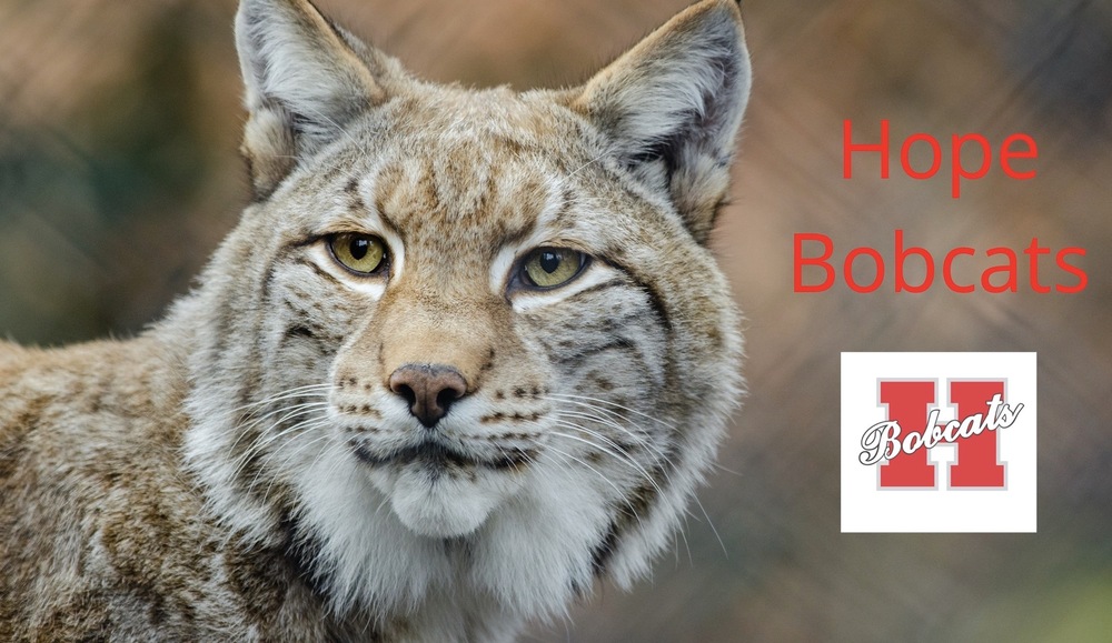 Bobcats continue to rebuild | Hope High School