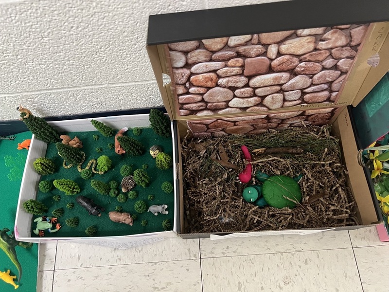 Animal Habitat Displays Shared with Parents! | Hope Public Schools