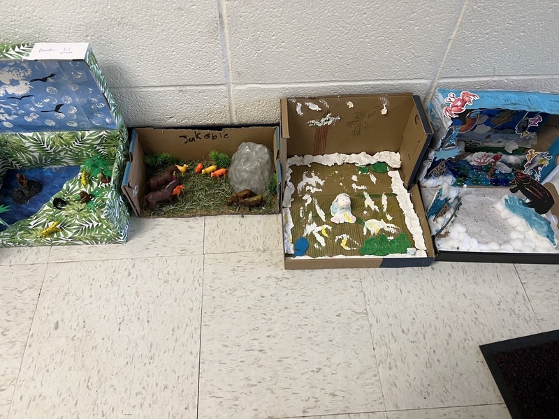 Animal Habitat Displays Shared with Parents! | Hope Public Schools